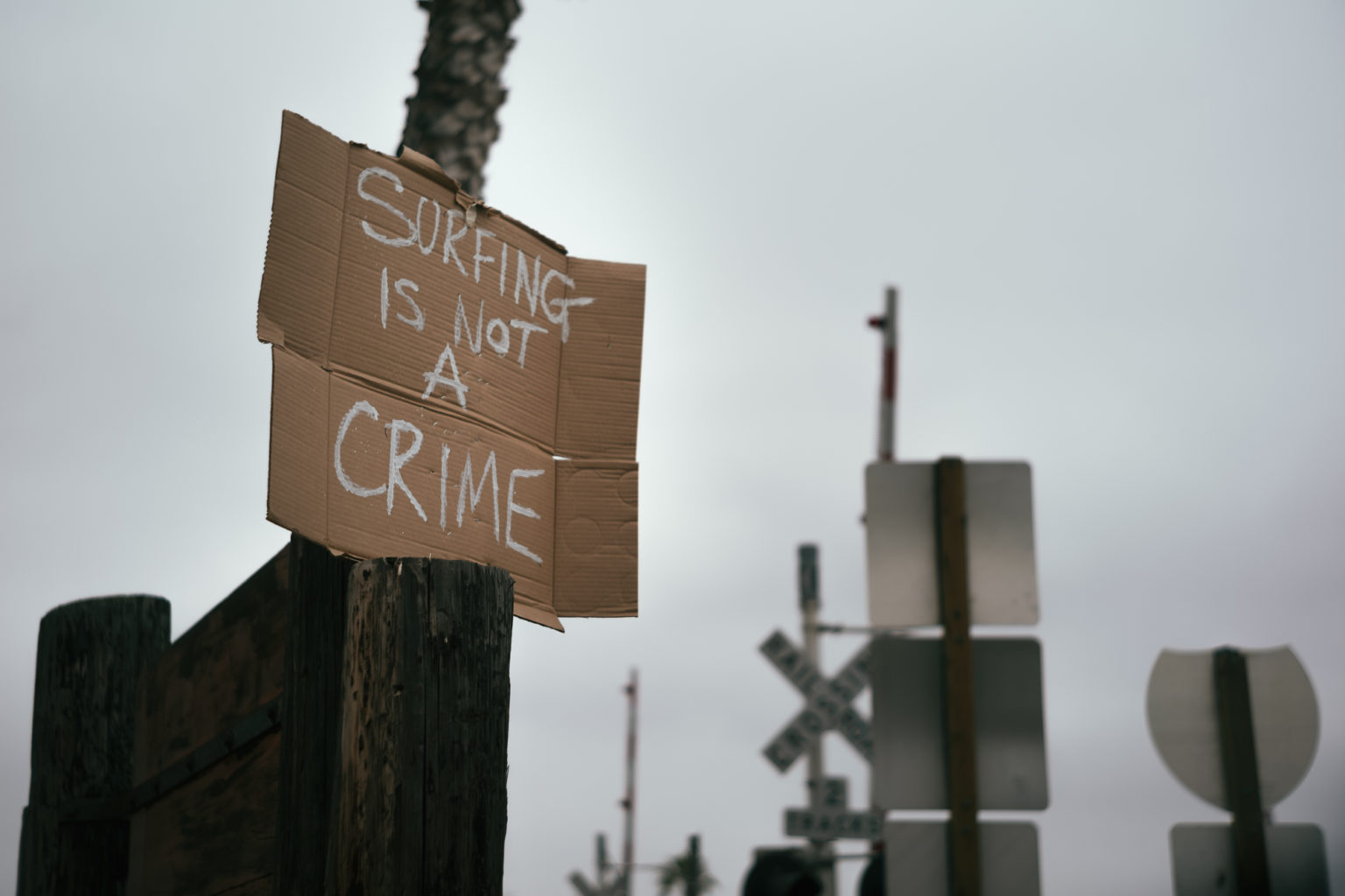 Jupiter-8 50mm f/2 Review – Leica Lenses for Normal People